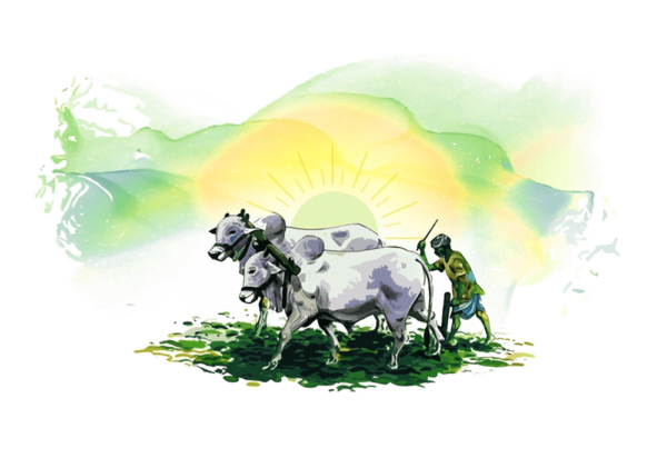 Buy Natural Food Products Online| KesNa - Ensures Wellbeing